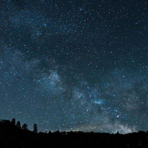 Reportajes y fotografías de Estrellas en National Geographic