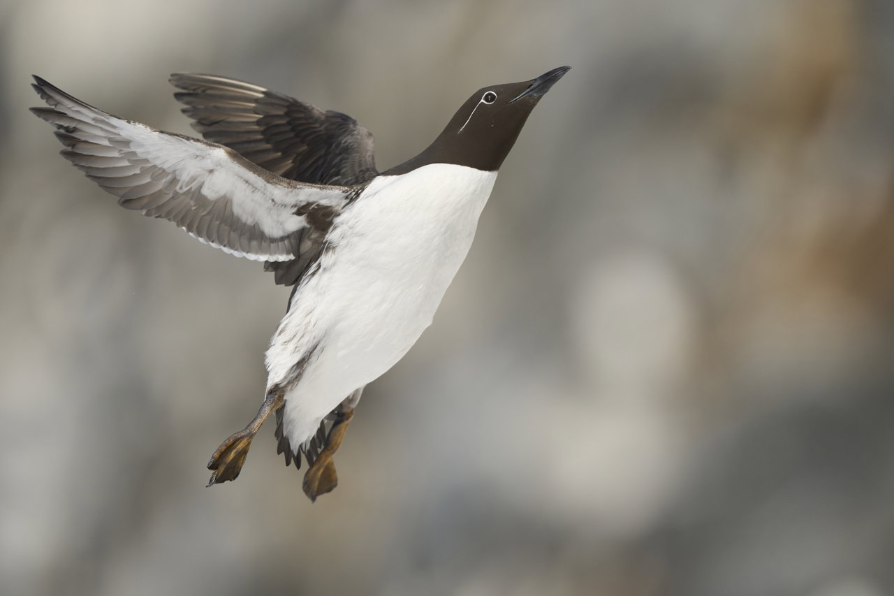 Cómo controlar la velocidad de obturación