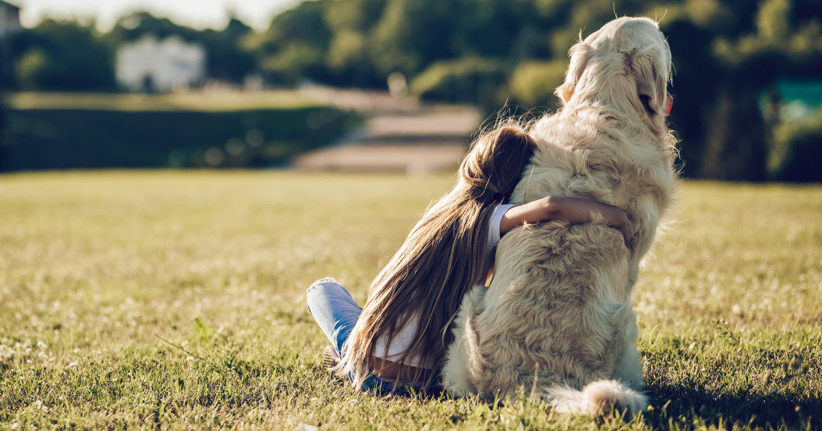 Menos estrés, más salud mental... Estos son los beneficios de tener una ...