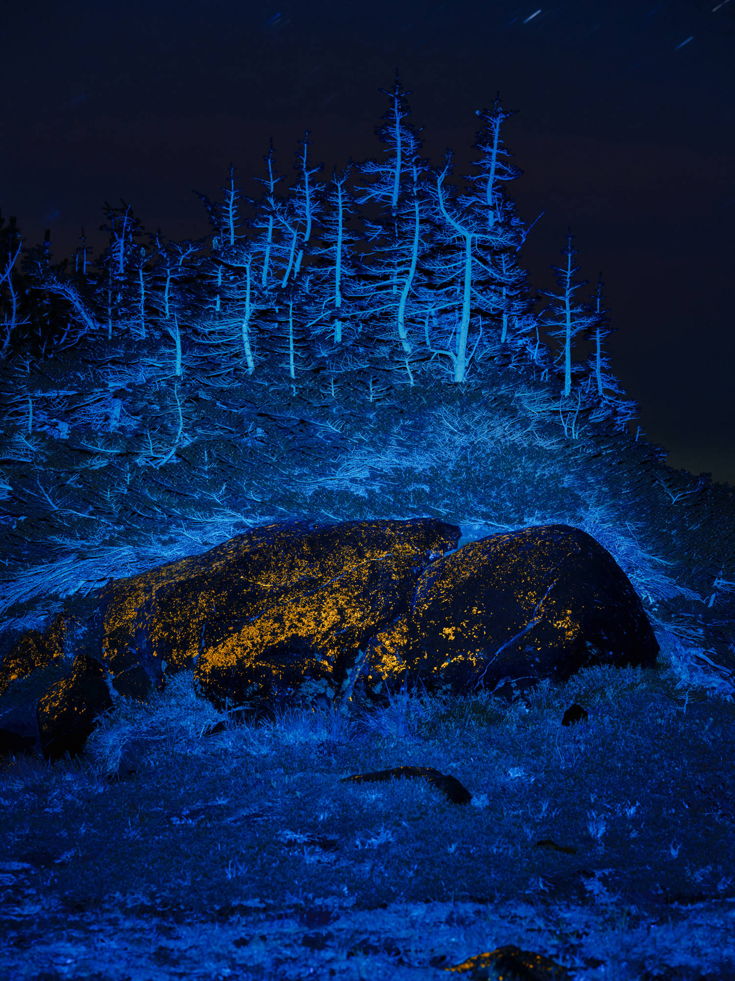 Escenas del más allá