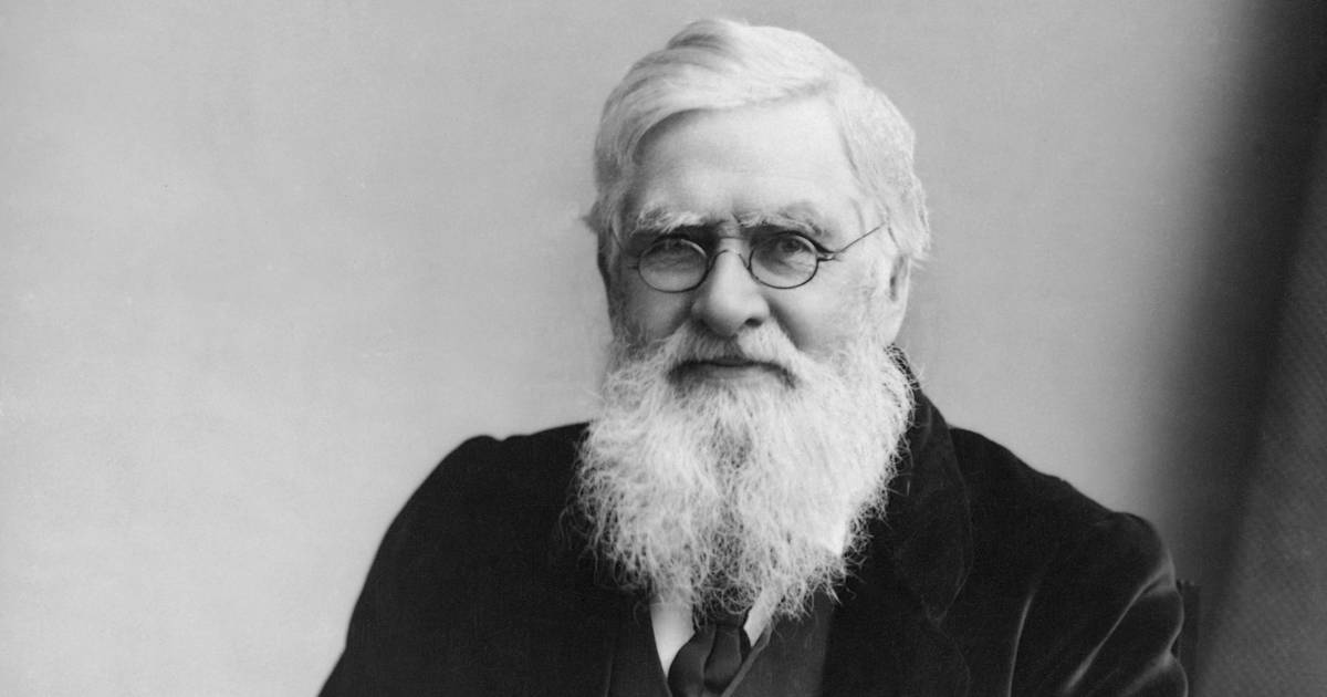 Alfred Russel Wallace: el otro padre (olvidado) de la teoría de la ...