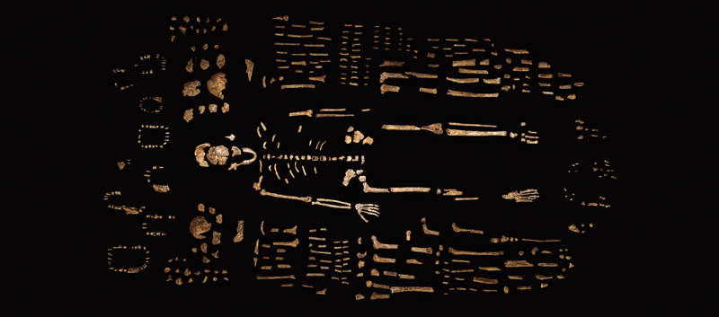 Cueva de los huesos: la trepidante historia de un descubrimiento revelador