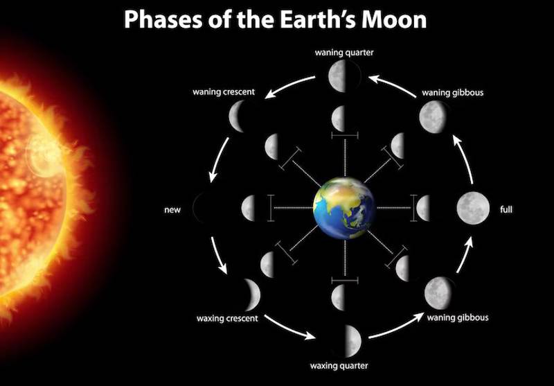 Diagrama De Fases De Luna Llena Doce Meses, Doce Lunas Llenas: