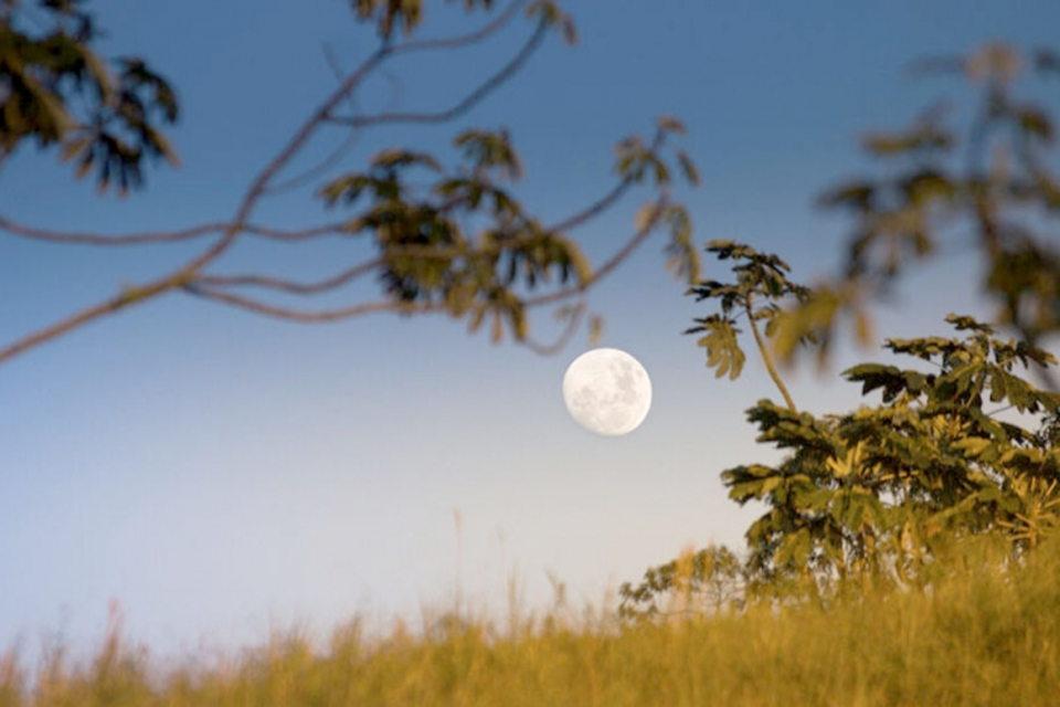 Por qué a veces se ve la Luna durante el día