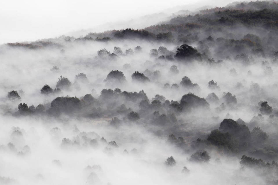 Cómo hacer fotografía en clave alta paso a paso