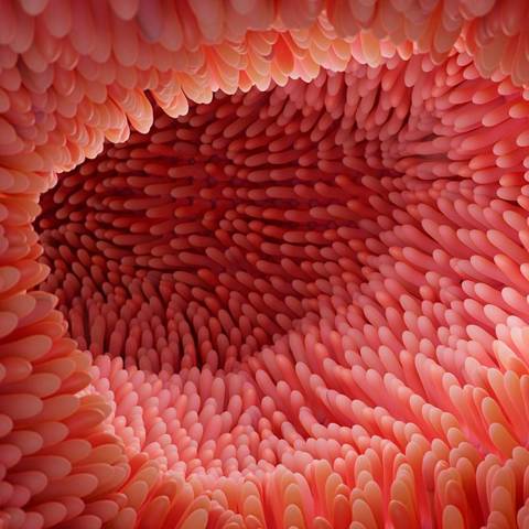 Por qué tienes hambre cuando tienes hambre