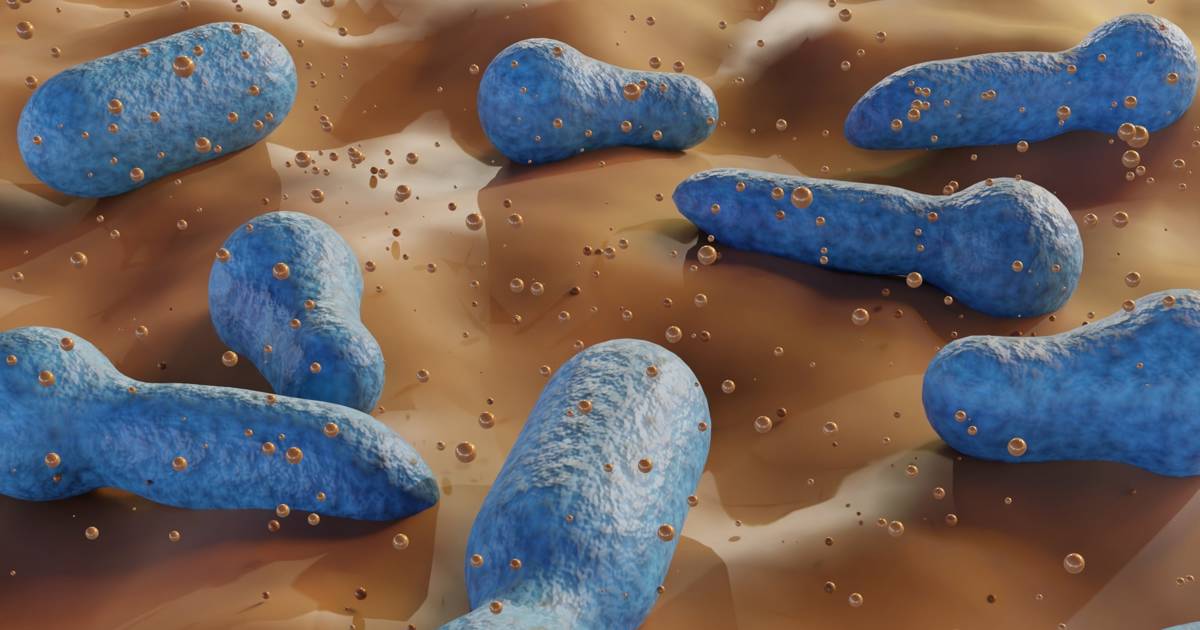 Botulismo alimentario: ¿qué es y cómo se transmite?