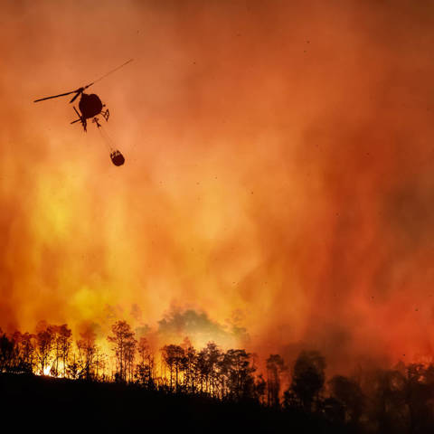 Reportajes y fotografías de Incendios en National Geographic