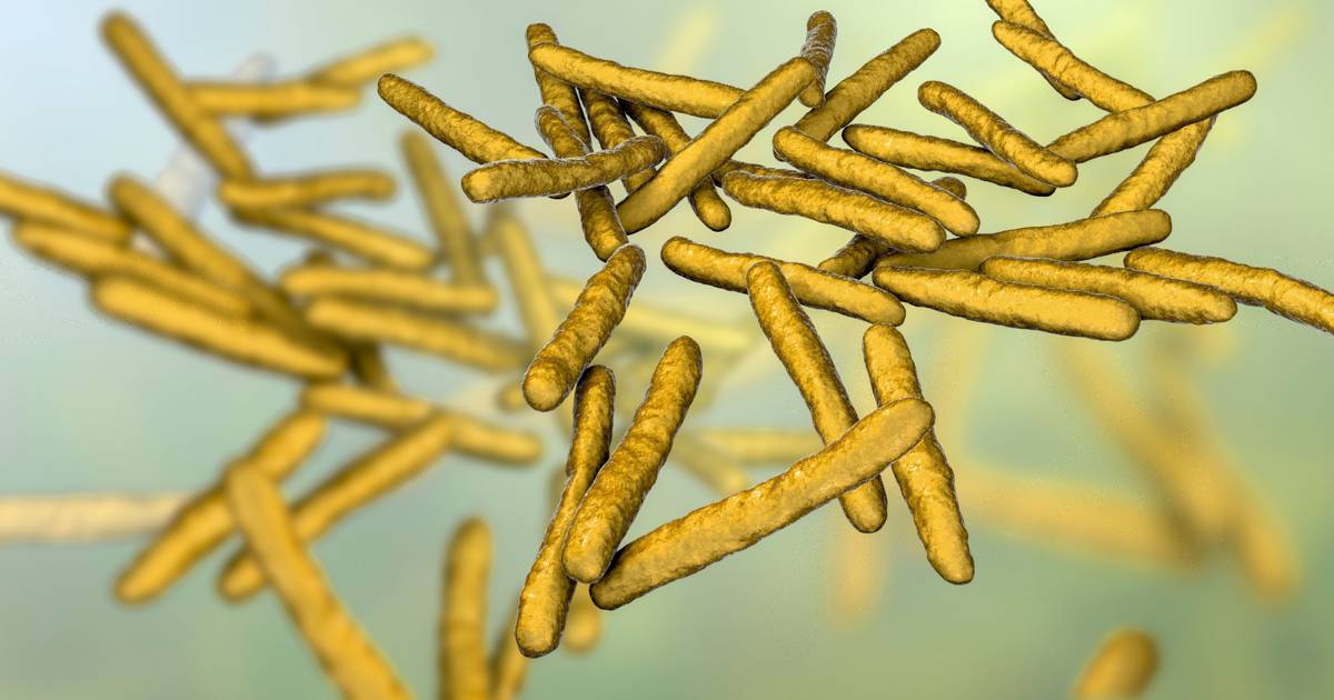 La lepra pone en alerta a EEUU y México: ¿cómo se contagia?