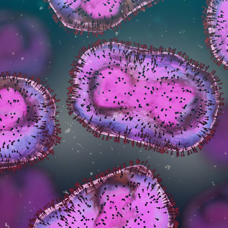 Reportajes y fotografías de Virus en National Geographic