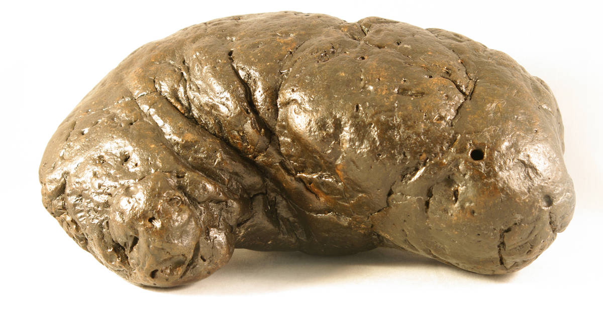 Antiguos excrementos humanos desvelan una extinción masiva de bacterias ...