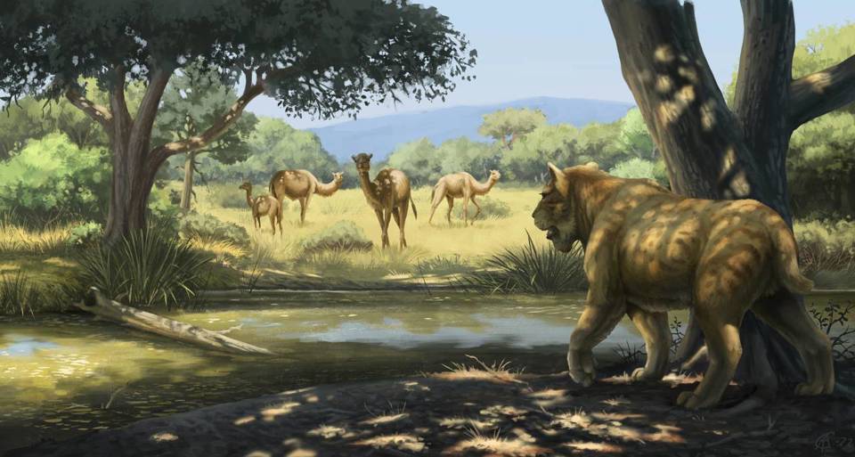 El hombre pudo causar la extinción masiva de megafauna hace miles de años