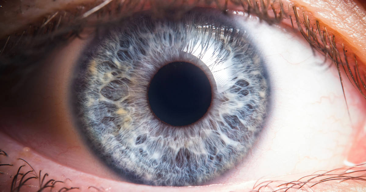 Color De Ojos Rojo Natural Maquillaje Para Ojos Marrones Paso A Paso