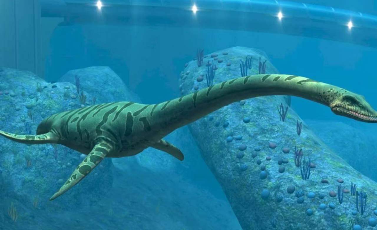 Descubren una nueva especie de reptil marino en Argentina