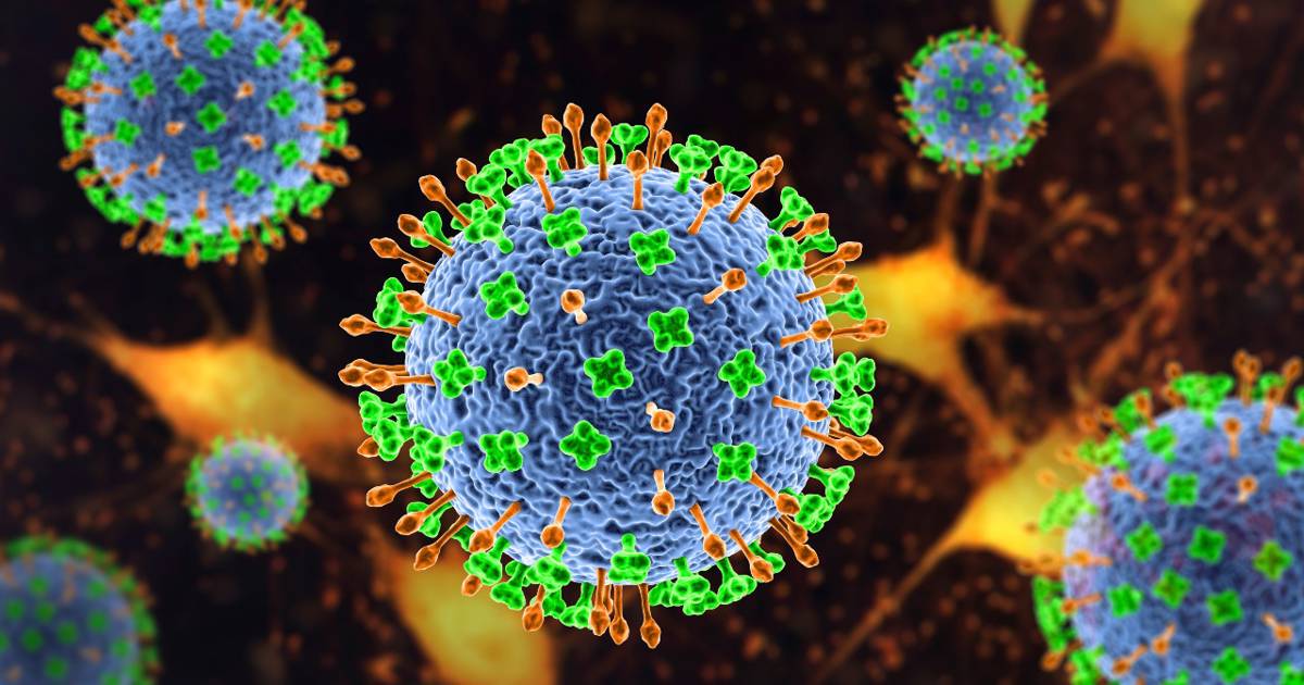 ¿qué Es El Virus Nipah Y Qué Tiene Que Ver Con Los Murciélagos
