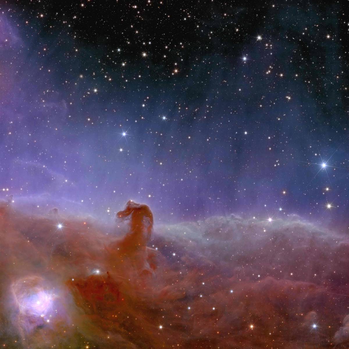 Las primeras imágenes de Euclid revelan nuevos detalles sobre el cosmos