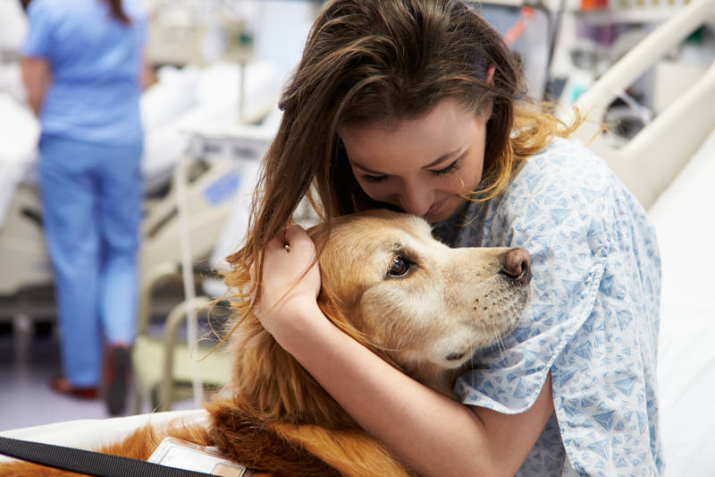 Confirmado: La terapia con perros en los hospitales ayuda a los pacientes