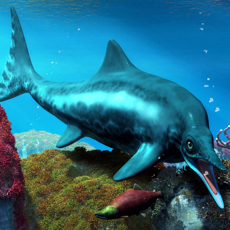 Reportajes y fotografías de Fósiles en National Geographic