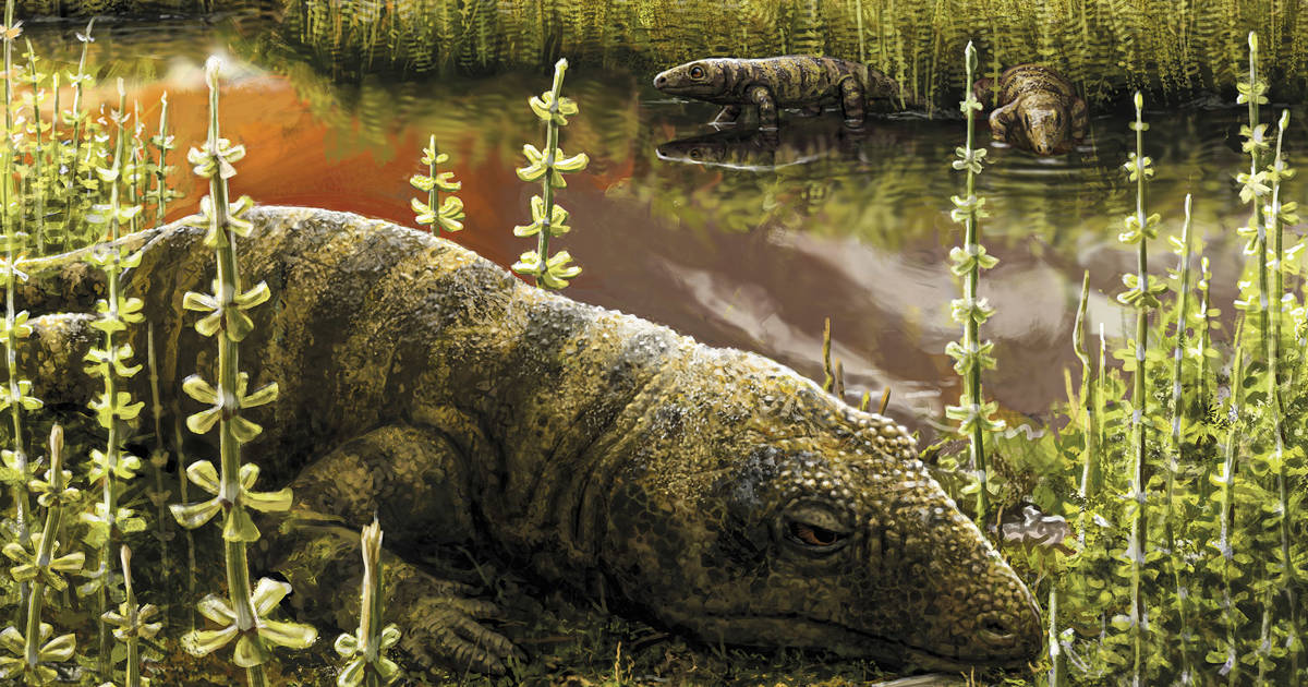 Mallorca estaba cerca del ecuador y tenía un clima tropical