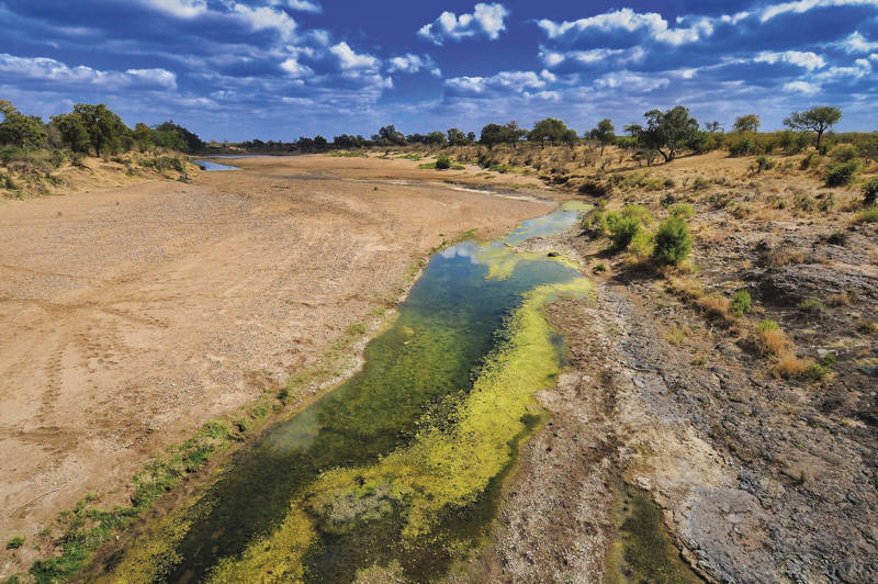 El Parque Nacional Kruger cumple 125 años