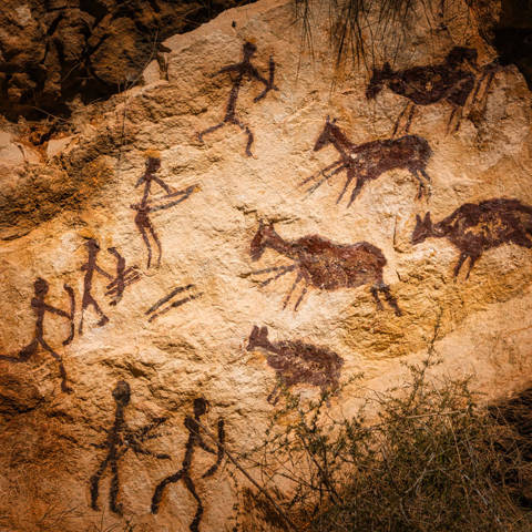 La llegada de Homo sapiens al norte de Europa sucedió hace 45.000 años