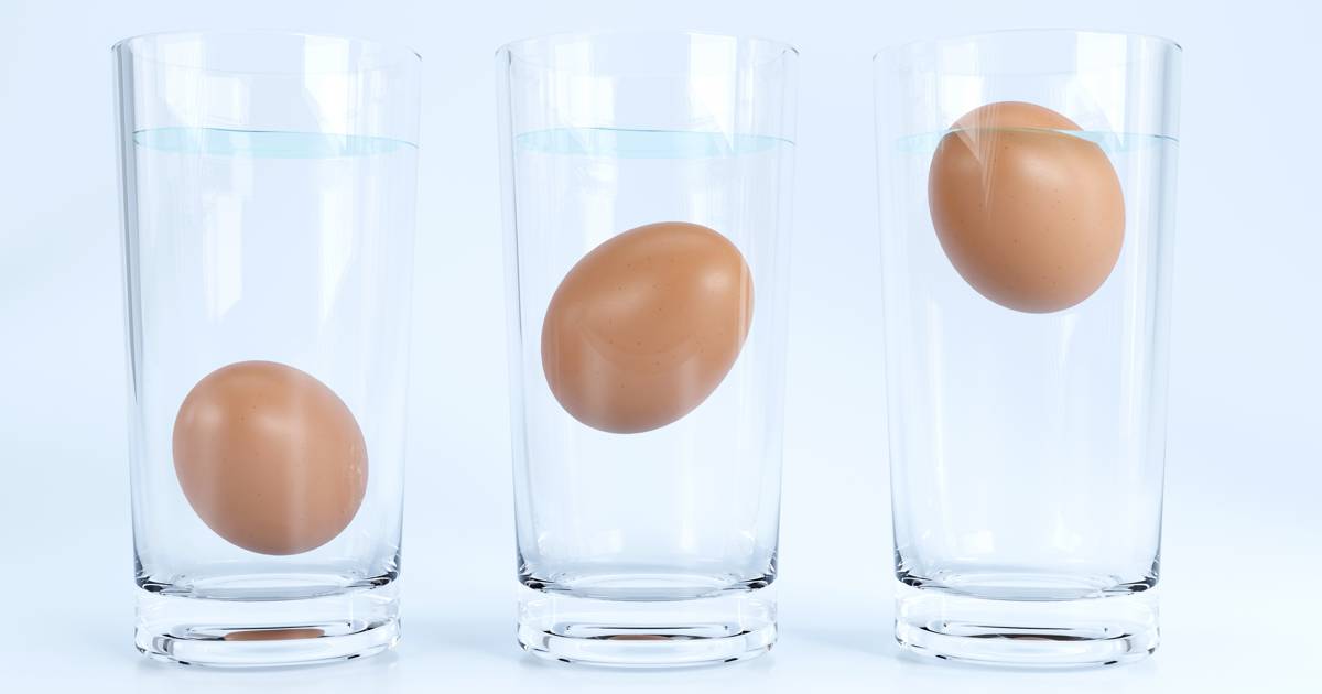 ¿Qué pasa si un huevo flota en el agua? Esto dice la ciencia
