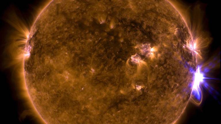 Reportajes y fotografías de Estrellas en National Geographic