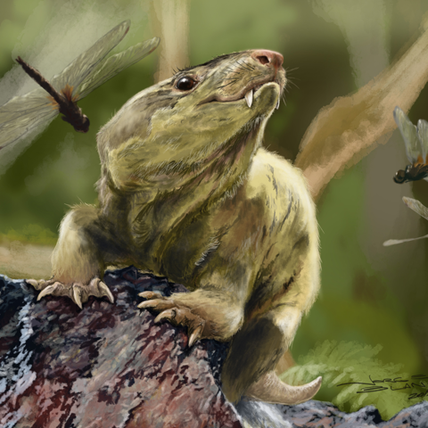 El fascinante hallazgo de un mamut bebé en excelente estado de conservación