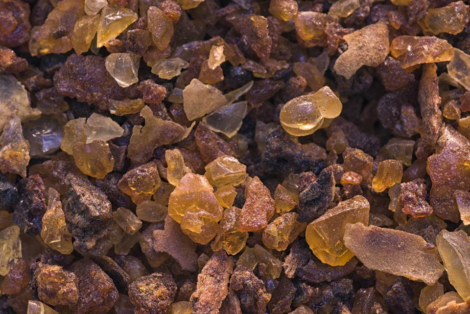 ¿Qué es la mirra? El regalo más desconocido de los Reyes Magos