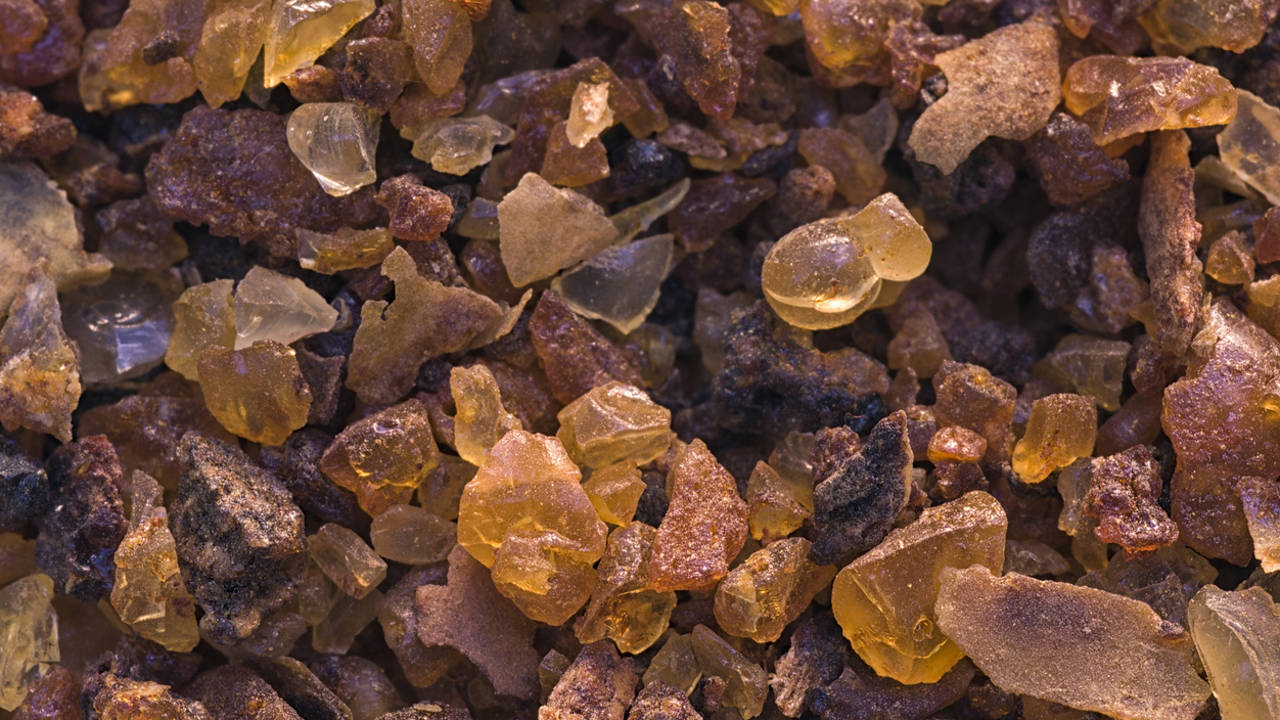 Qué significa que el Sistema de Alertas de la ONU esté investigando el ...