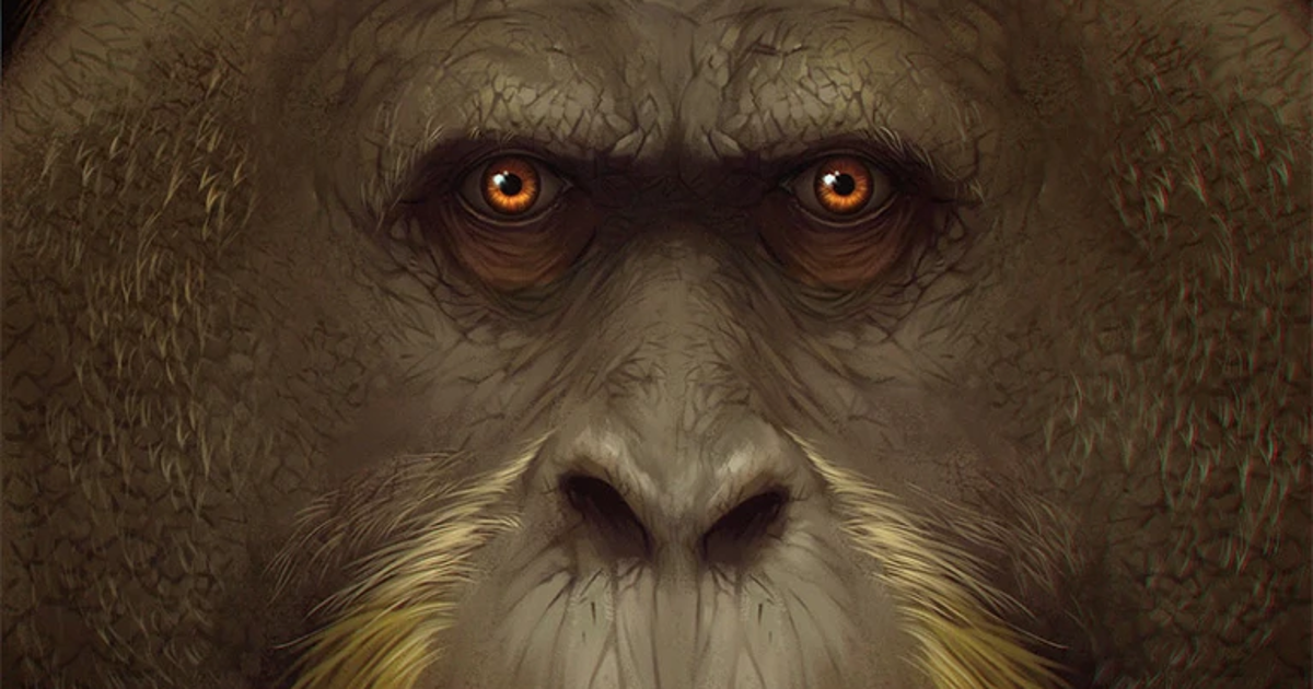 ¿Por qué se extinguió ‘G. blacki’, el mayor simio de todos los tiempos?