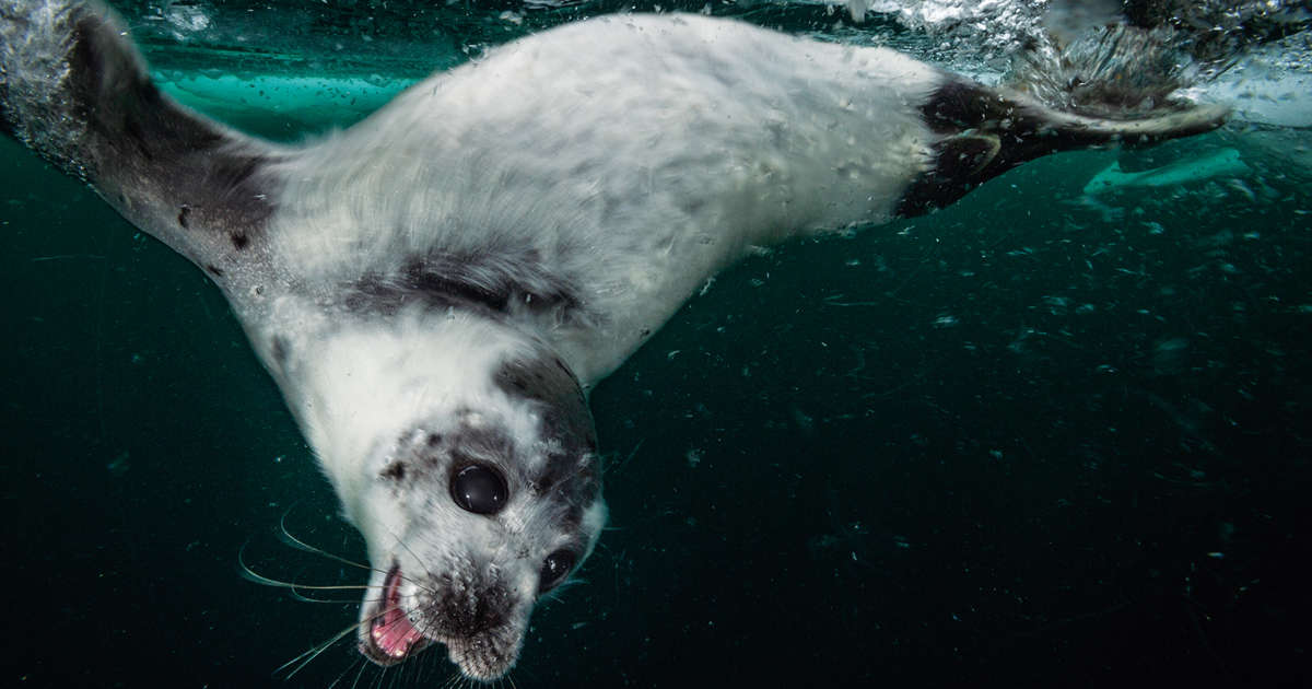 Con el agua al cuello