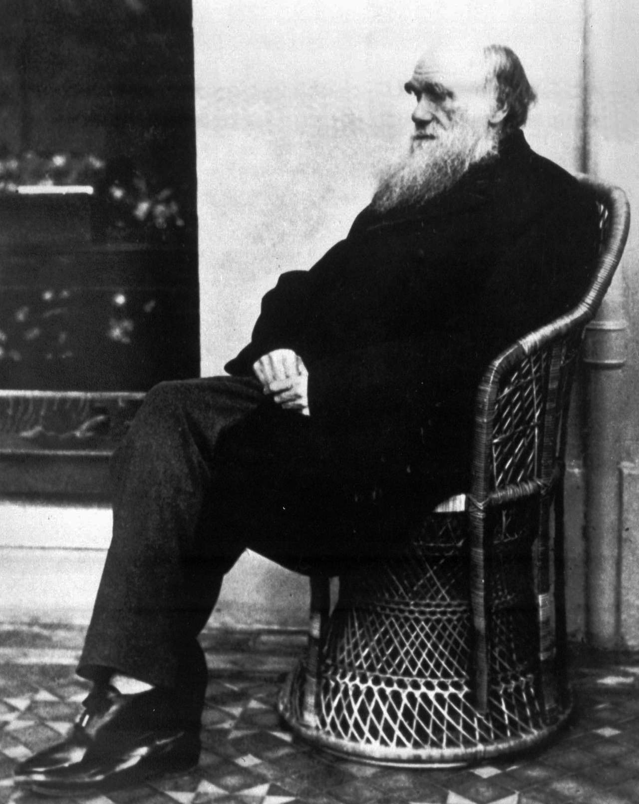 Teoría de Darwin explicada en 3 puntos clave