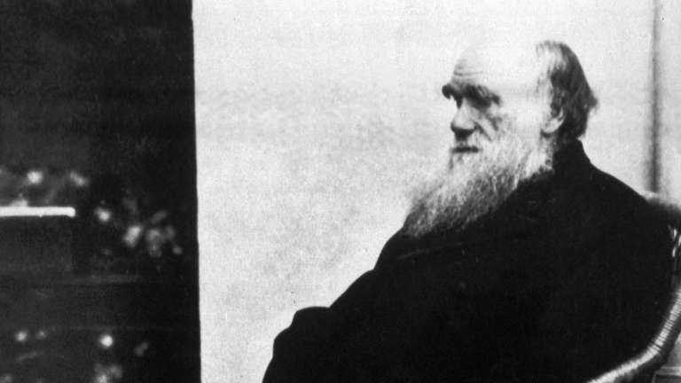 Grisú, el peligroso gas que estaría detrás de la explosión en la mina ...