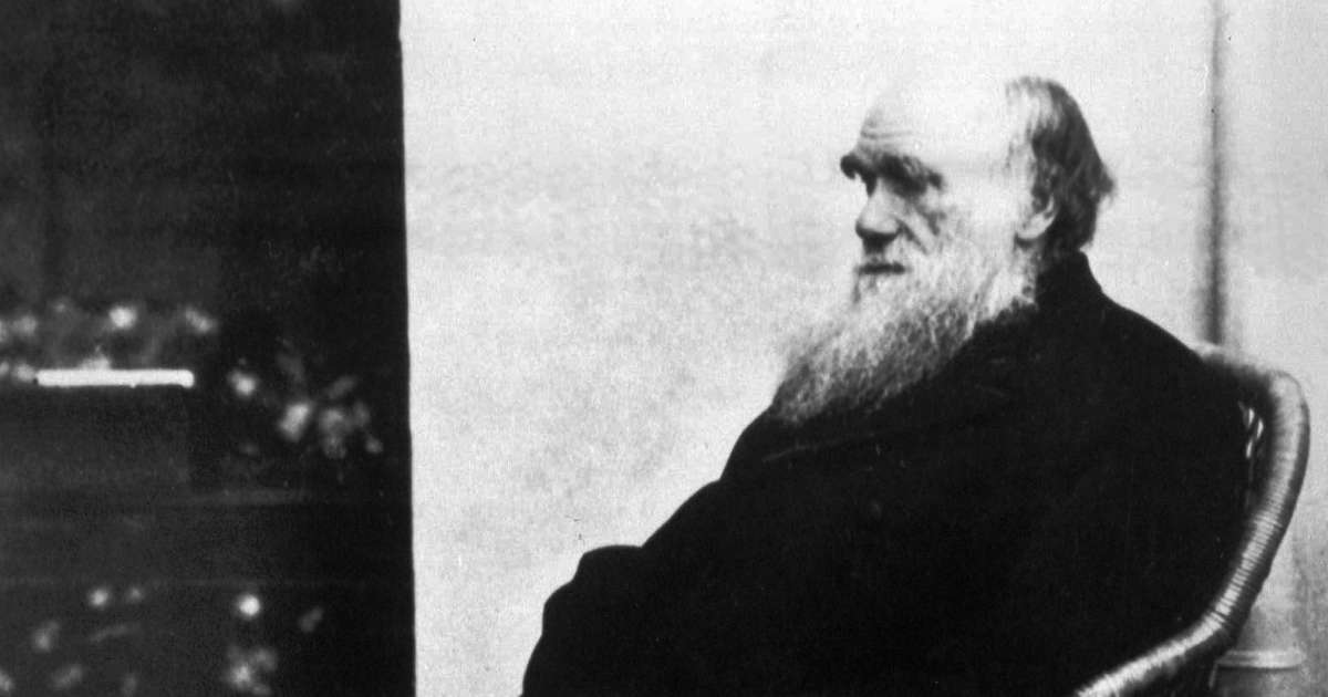 Teoría de Darwin explicada en 3 puntos clave