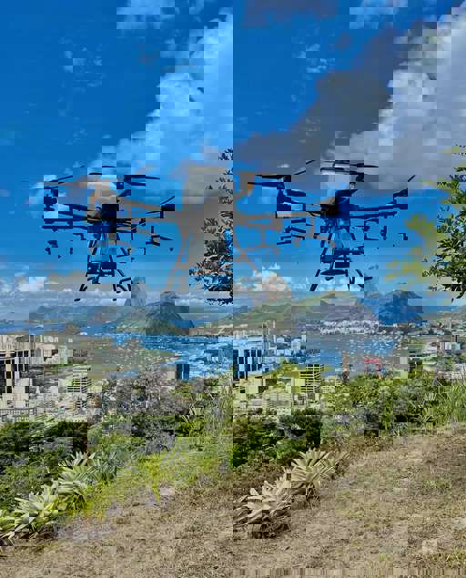 ¿Drones que plantan árboles? Así es la reforestación de Río de Janeiro