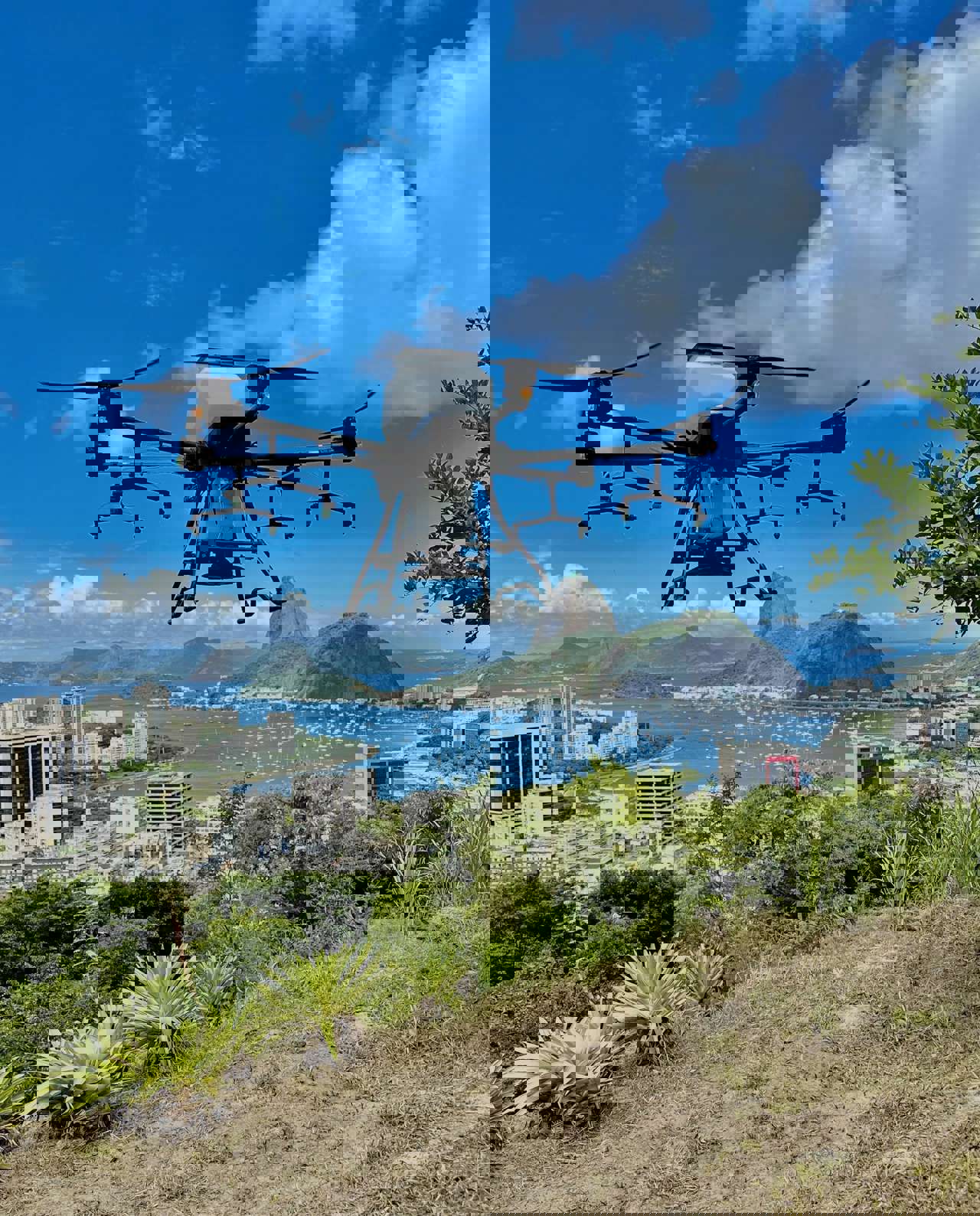 ¿Drones que plantan árboles? Así es la reforestación de Río de Janeiro