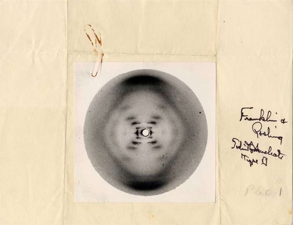 Fotografía 51: la imagen con la que Rosalind Franklin desveló la ...