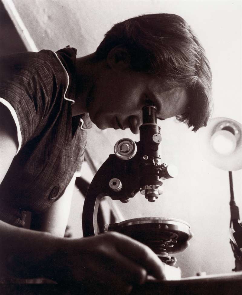 Fotografía 51: la imagen con la que Rosalind Franklin desveló la ...