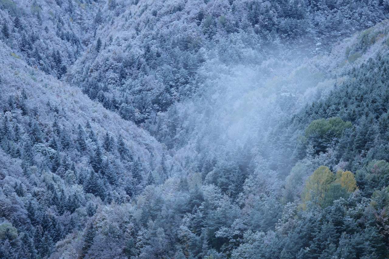 El bosque azul: desmontando una fotografía