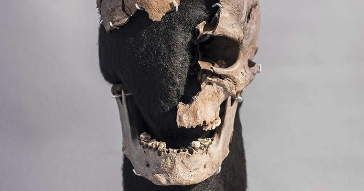 El hombre de Vittrup: un nuevo estudio revela los detalles de su atroz ...