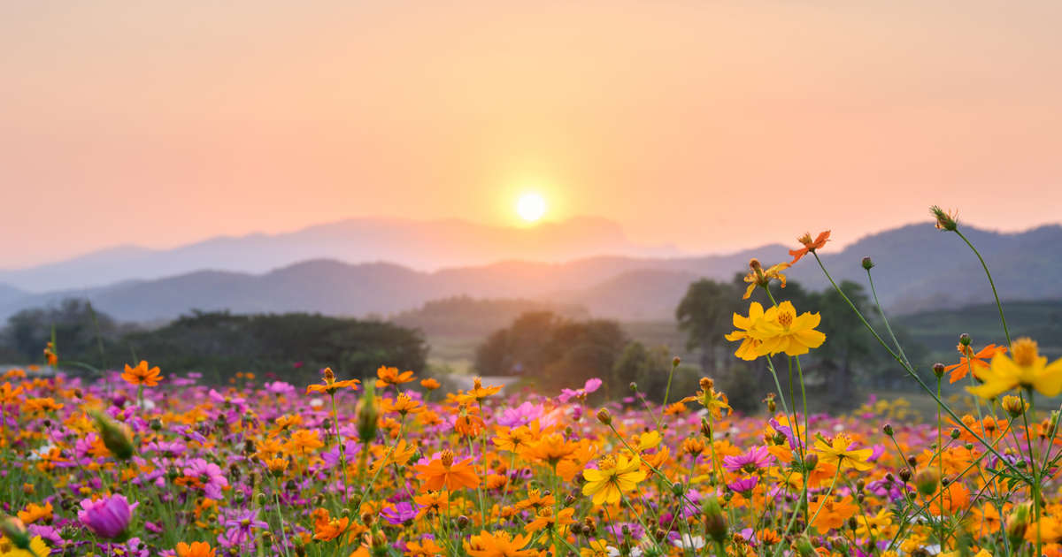 Equinoccio de primavera 2025: ¿qué es y qué ocurre en ambos hemisferios?