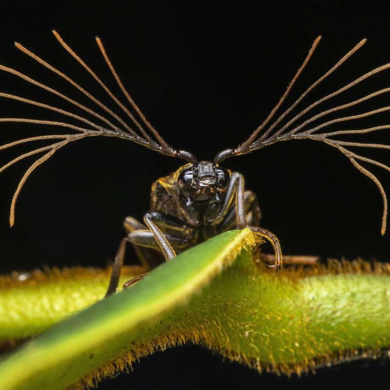 Las mejores imágenes de National Geographic y sus fotógrafos