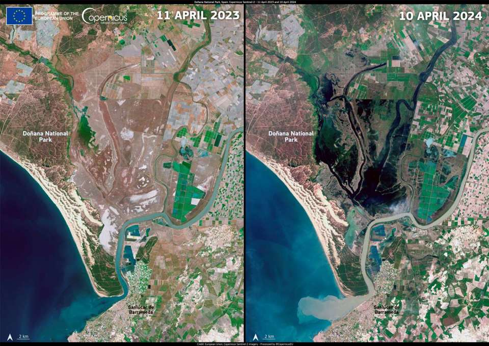 Doñana experimenta un sorprendente renacimiento gracias a las lluvias ...