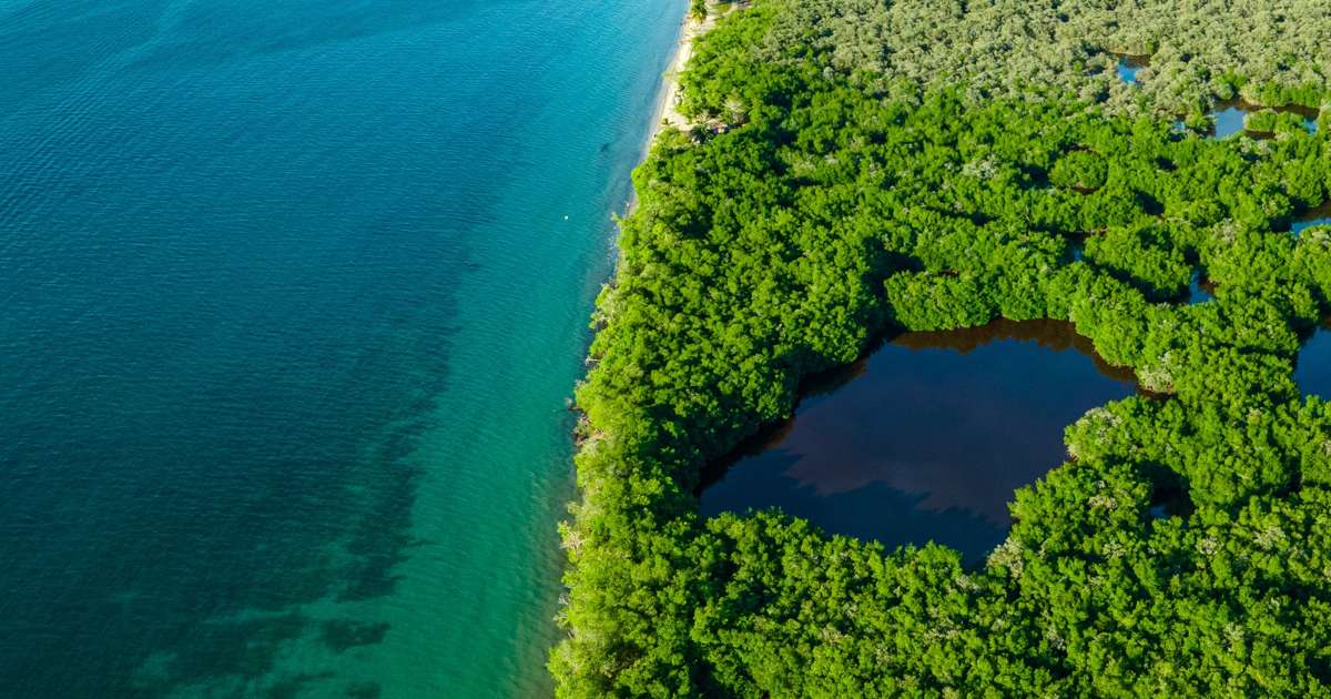 Celebrando el Día Mundial de la Tierra 2024: Nuestra deuda con el planeta