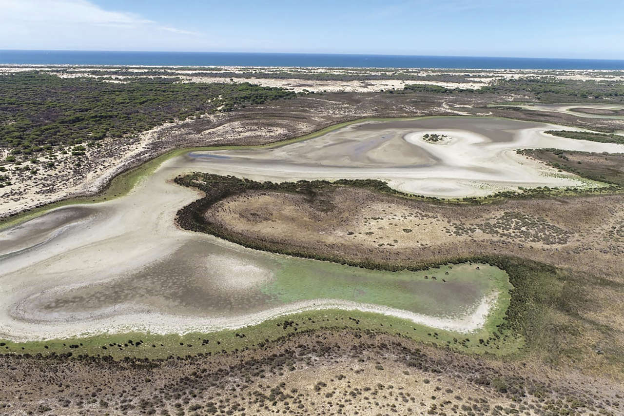Asedio a la marisma de Doñana