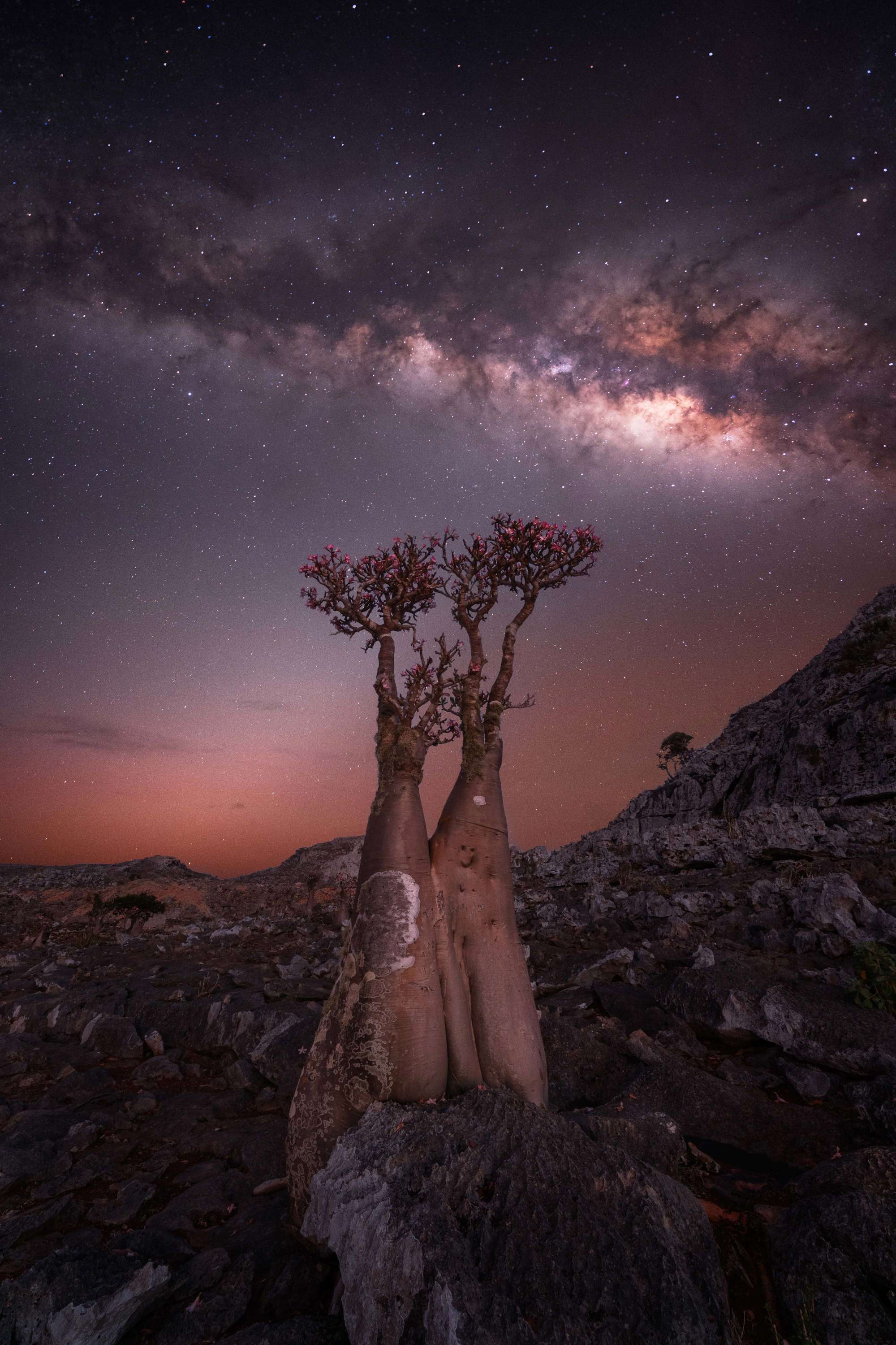 Las espectaculares fotos del Milky Way Photographer of the Year 2024