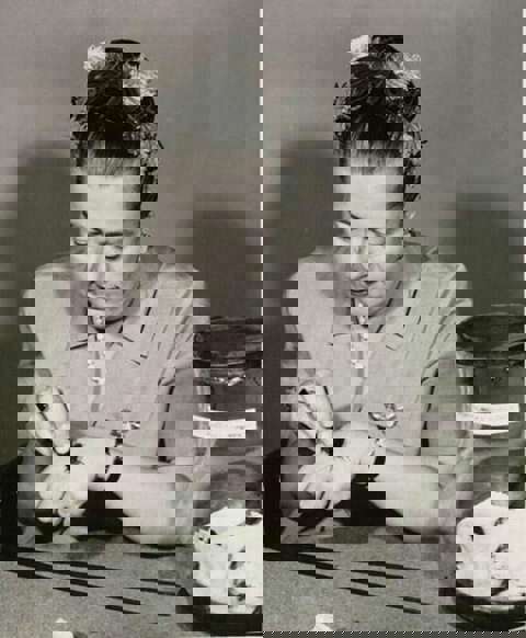 Alice Gray, la Dama Bicho que dedicó su vida a estudiar los insectos