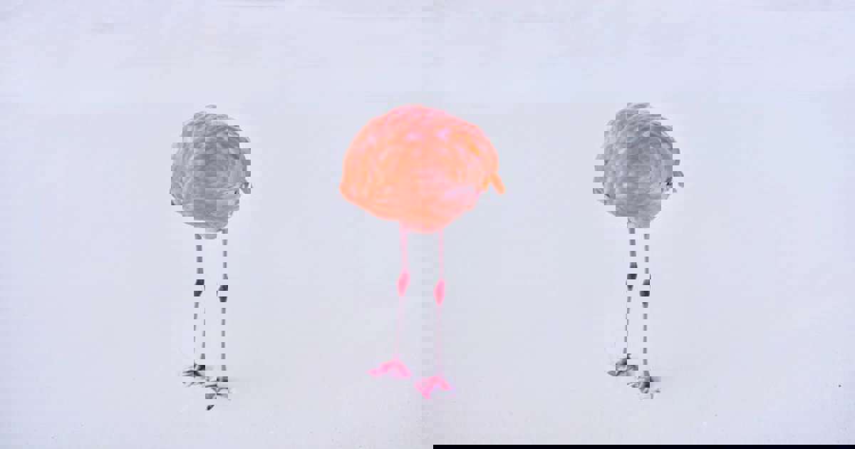 La realidad supera a la IA: esta fotografía logra engañar al jurado de ...