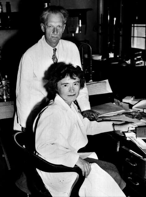 Gerty Cori, la científica que sentó las bases para el estudio de la ...